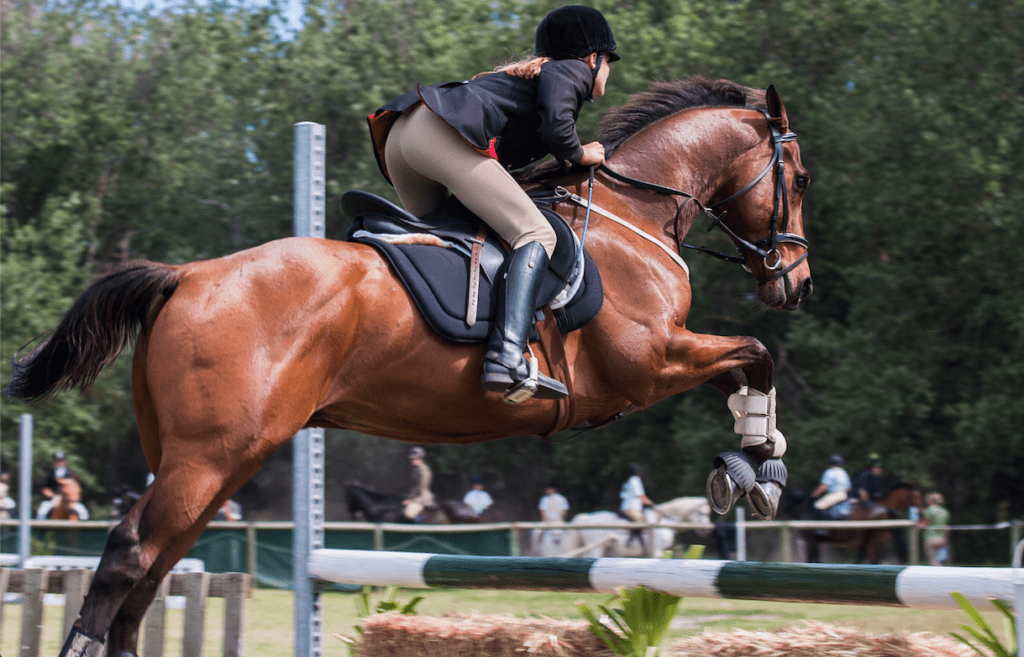 Visit Tryon Equestrian Center | Avalon