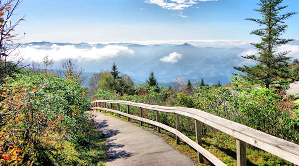 Explore Our Top “Locally Loved” Hikes Near Waynesville | Avalon